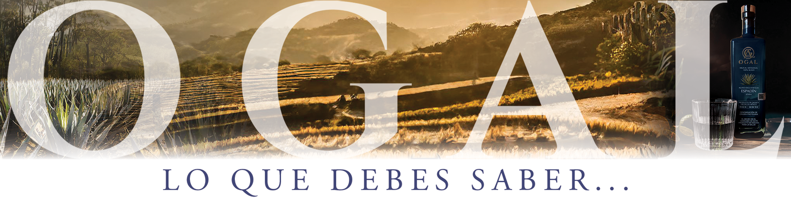 OGAL Mezcal | Premium Artisanal Mezcal