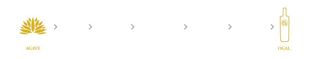 OGAL Mezcal | Premium Artisanal Mezcal