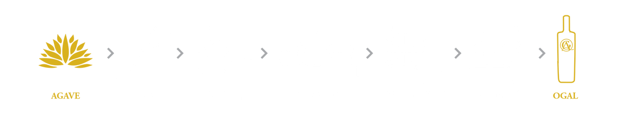 OGAL Mezcal | Premium Artisanal Mezcal