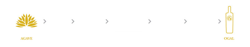 OGAL Mezcal | Premium Artisanal Mezcal